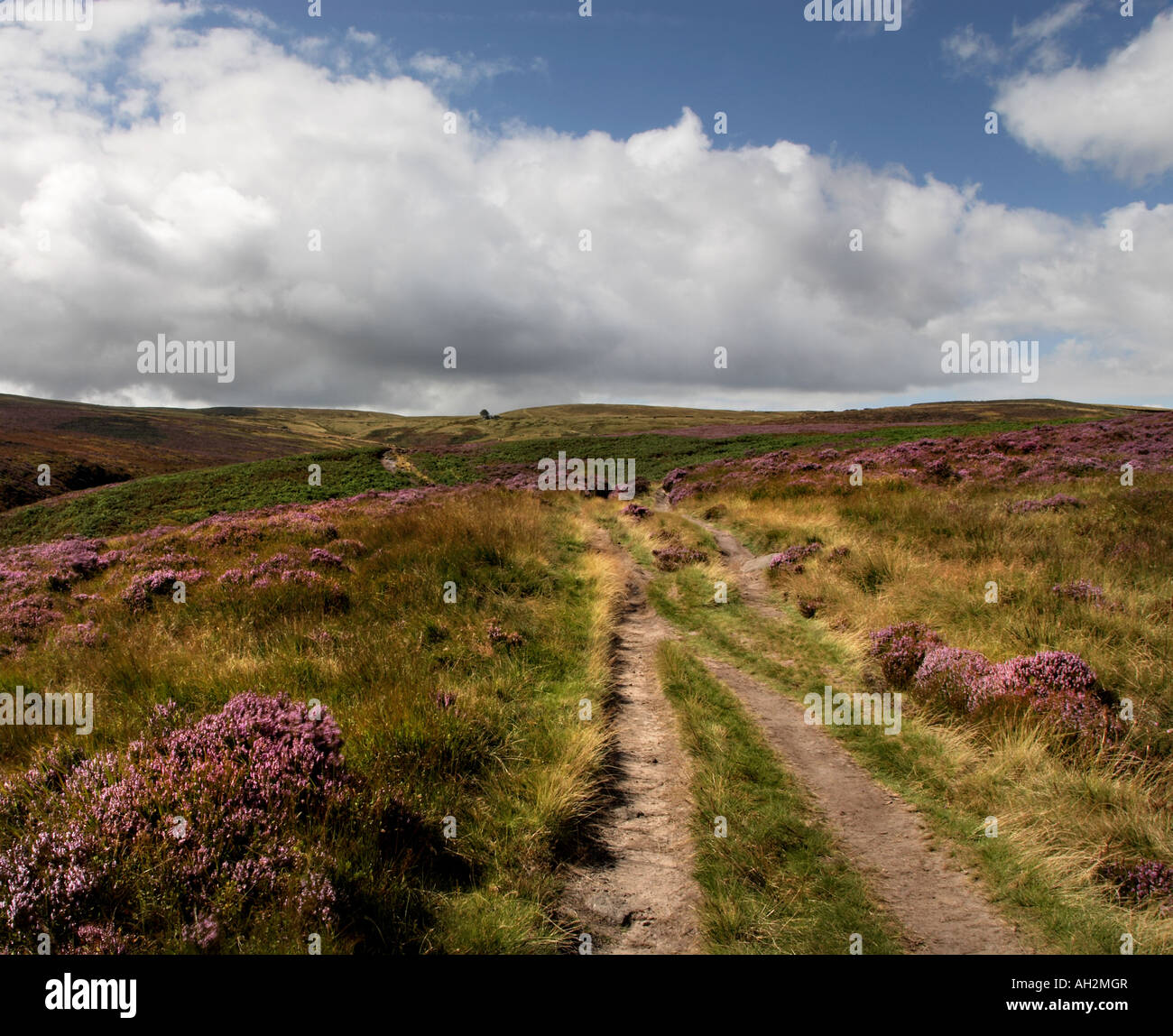Bronte moors wind farm hi-res stock photography and images - Alamy