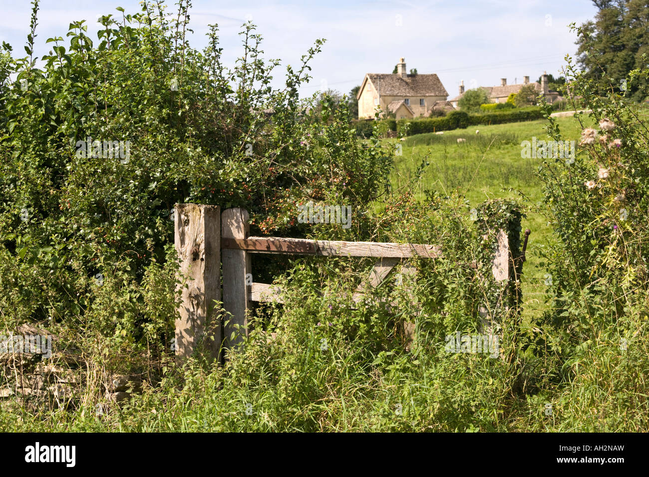 An overgrown gate in the Cotswold village of Little Badminton, South ...