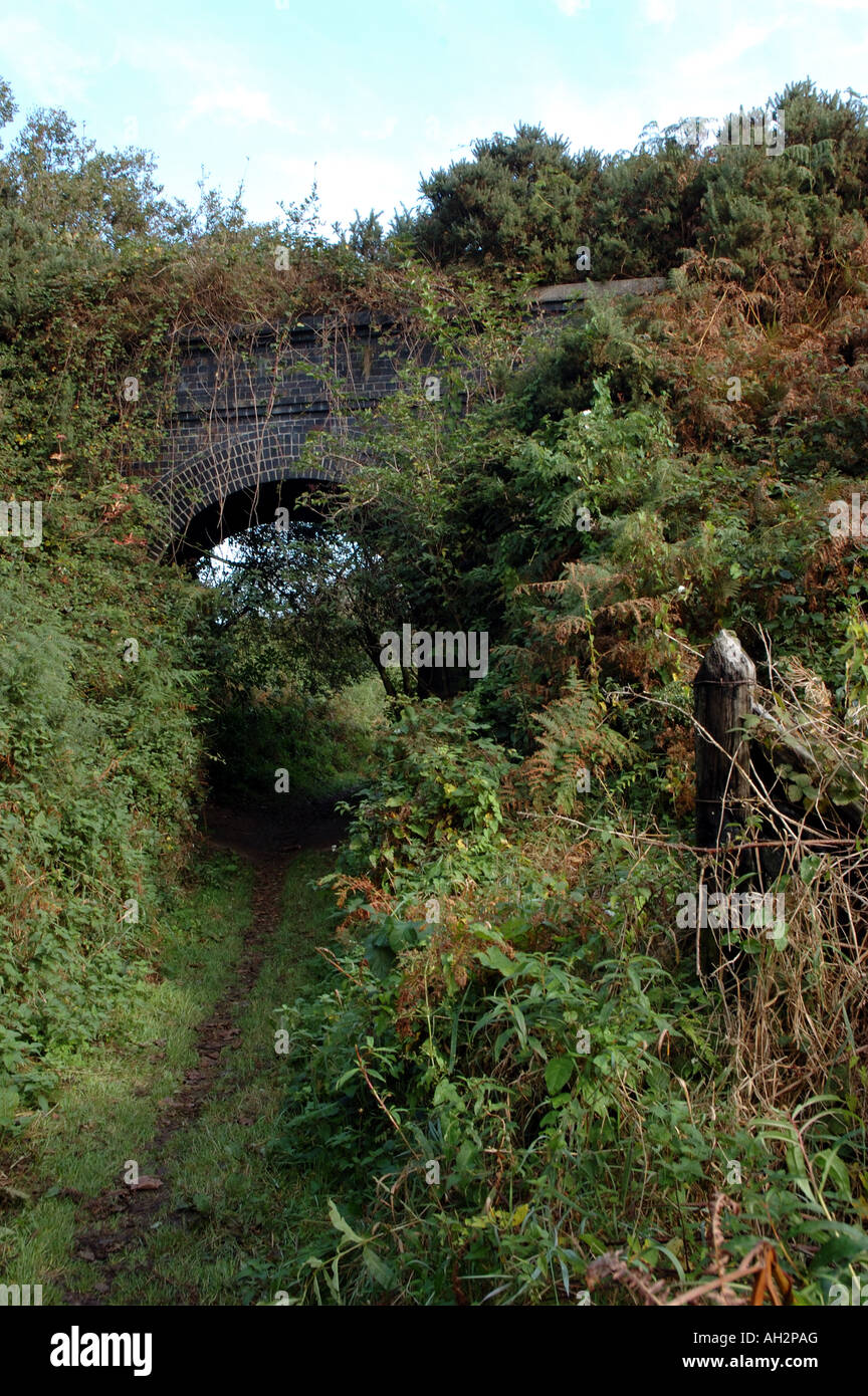 Overgrown disused railway bridge crosses the Paston Way walking route ...