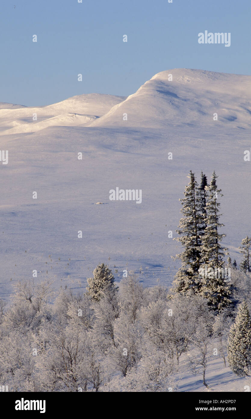 Sweden mountain forest hi-res stock photography and images - Alamy
