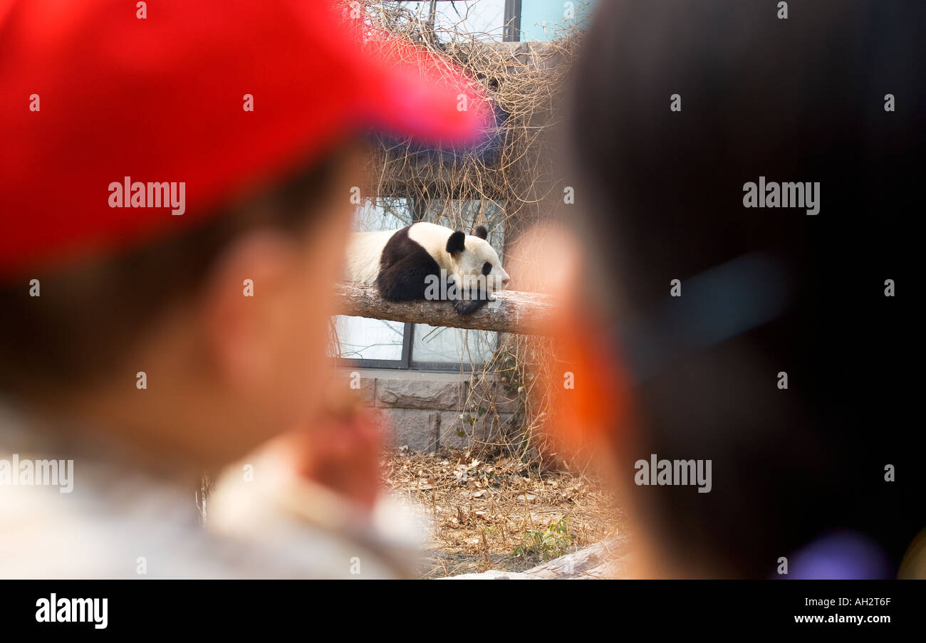 People captivity hi-res stock photography and images - Alamy