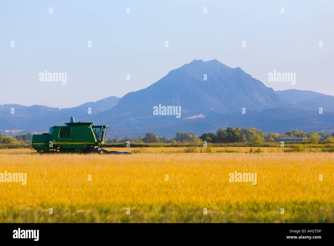 Fall rice harvest in the Sacramento Valley of California Stock Photo ...