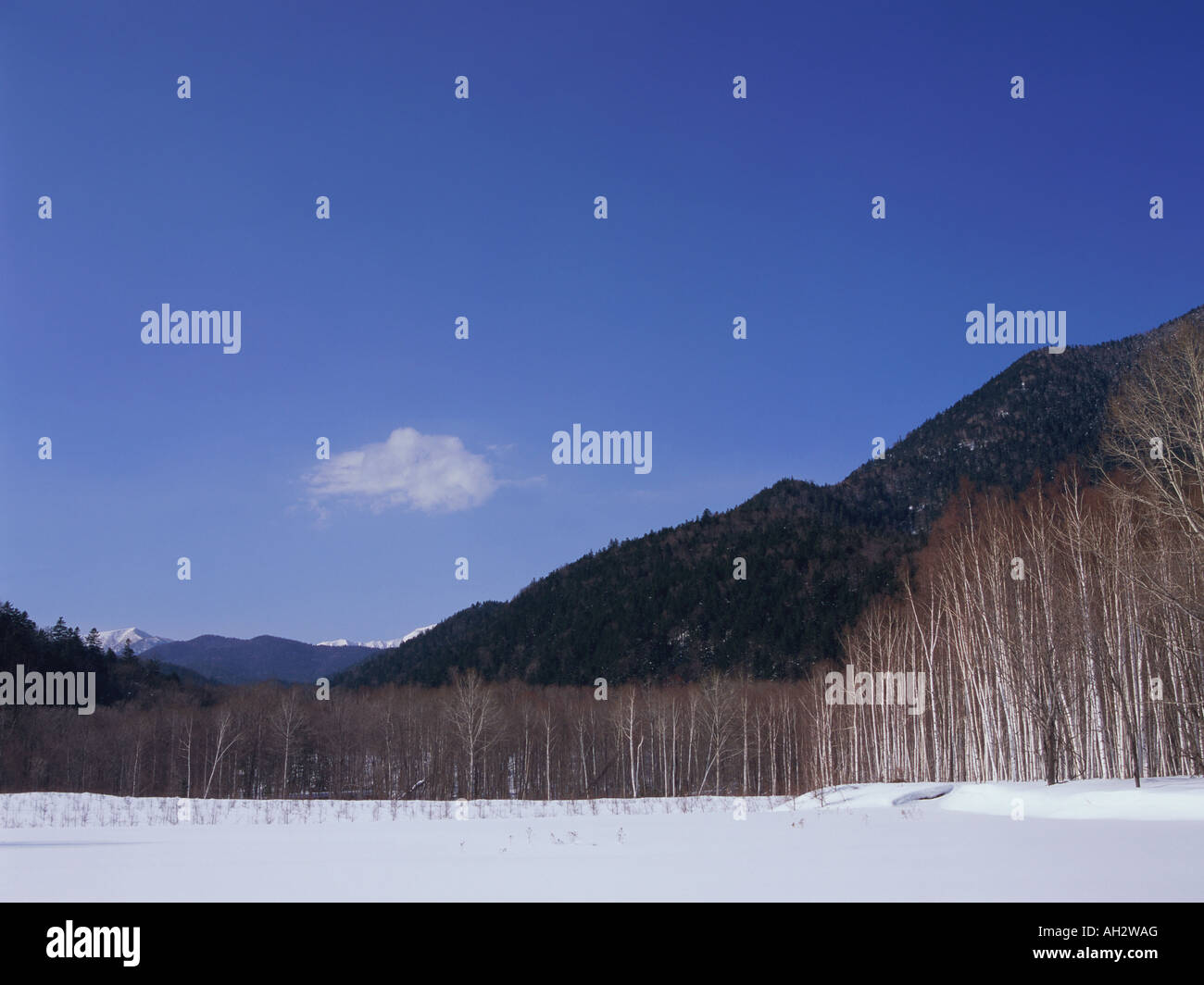 Winter landscape, Nagano Prefecture, Japan Stock Photo - Alamy