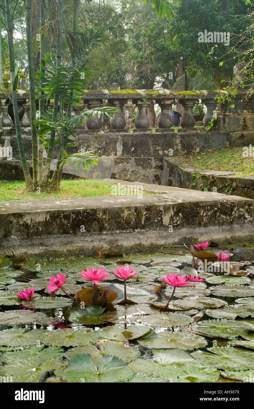 Ornamental Lily Pond, Codrington College, St John Parish, Barbados ...