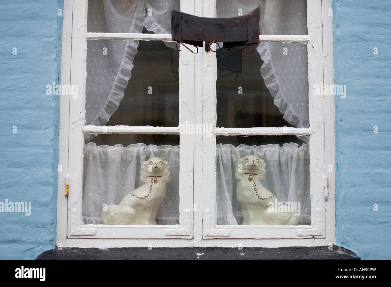 Two Dogs a window with snooping mirrors Stock Photo - Alamy