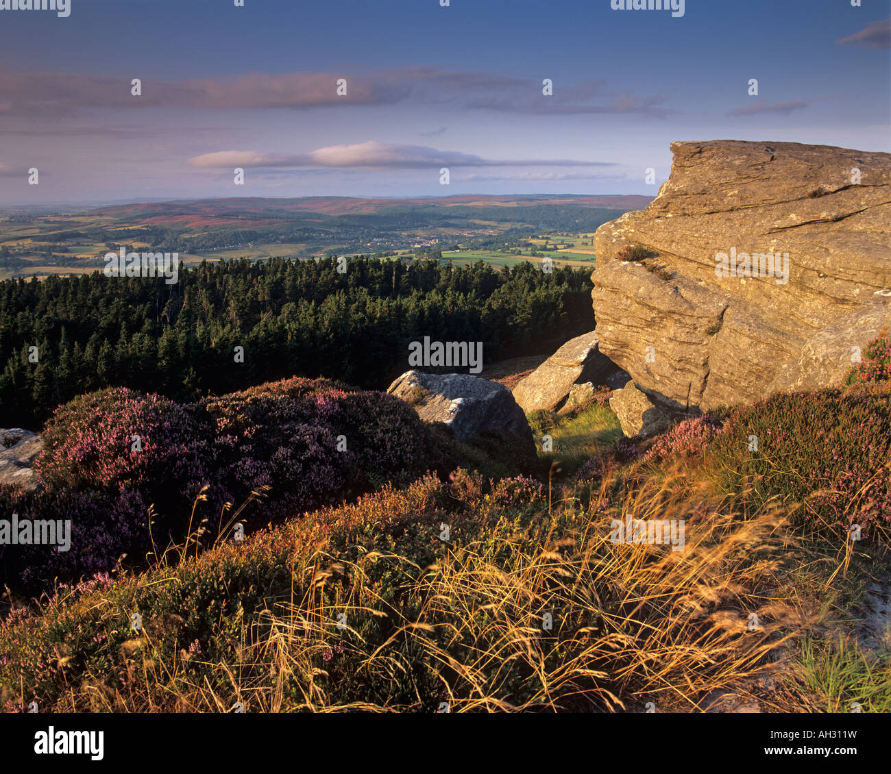 Weathered sandstone on the top of the Simonside Hills in Northumberland ...