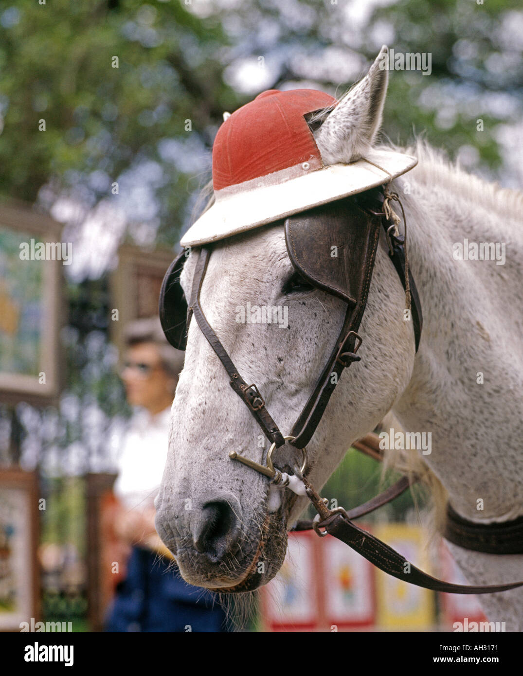 Horse hat hi-res stock photography and images - Alamy