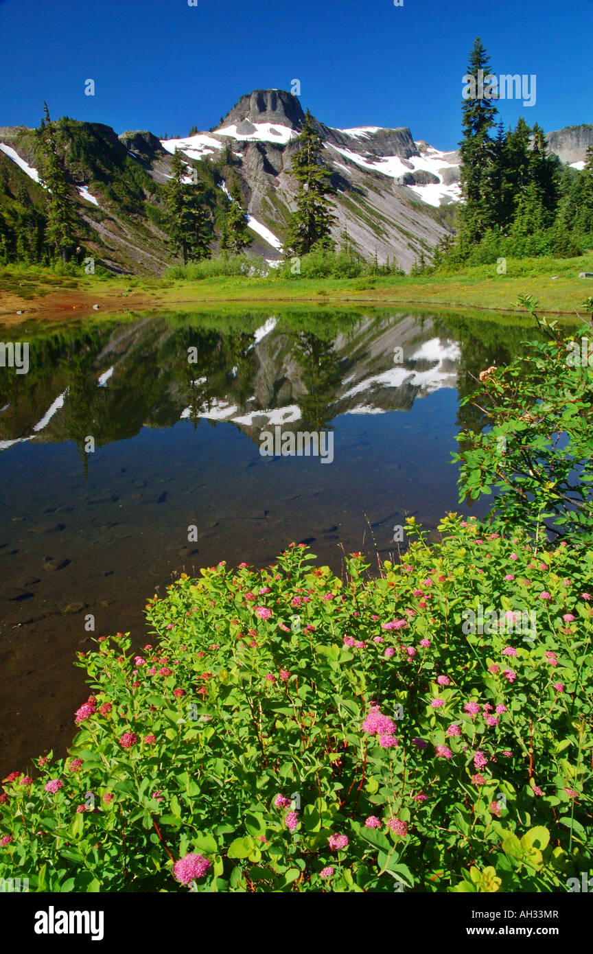 Table Mountain in the North Cascades of Washington State Stock Photo ...