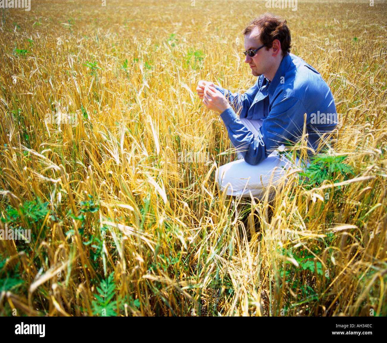 Guy field hi-res stock photography and images - Alamy
