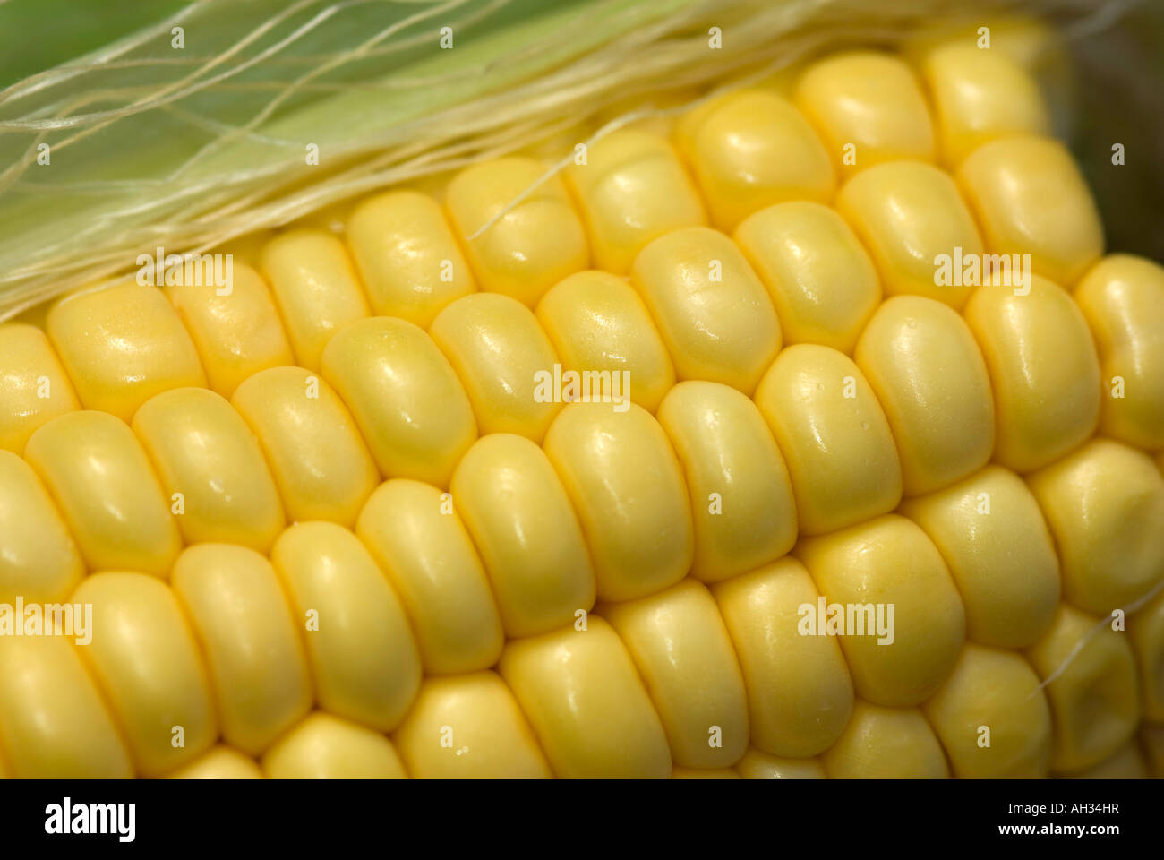 Moisture nutrition hi-res stock photography and images - Alamy