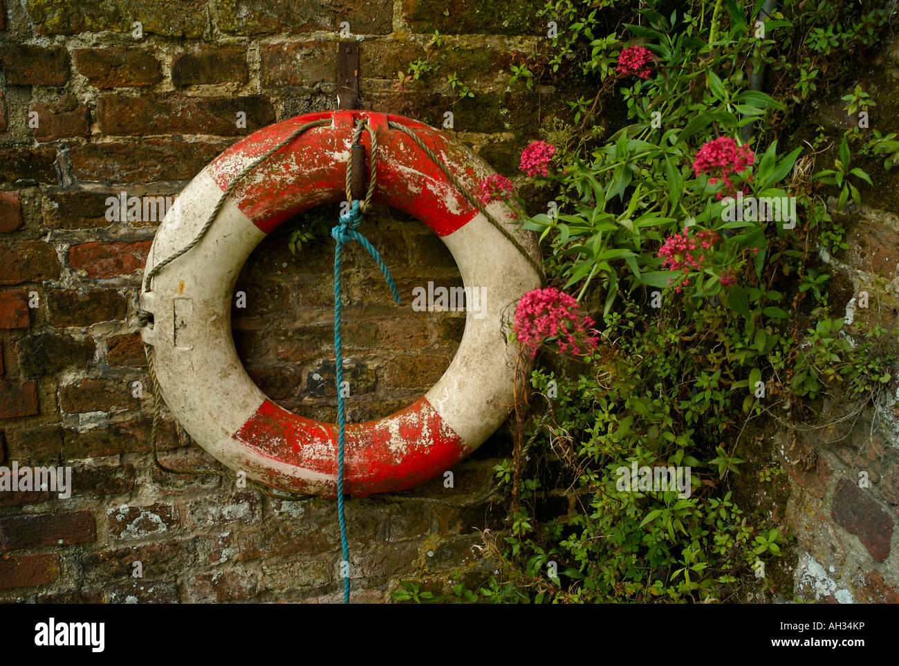 A lifebelt ring hanging on a wall Stock Photo - Alamy