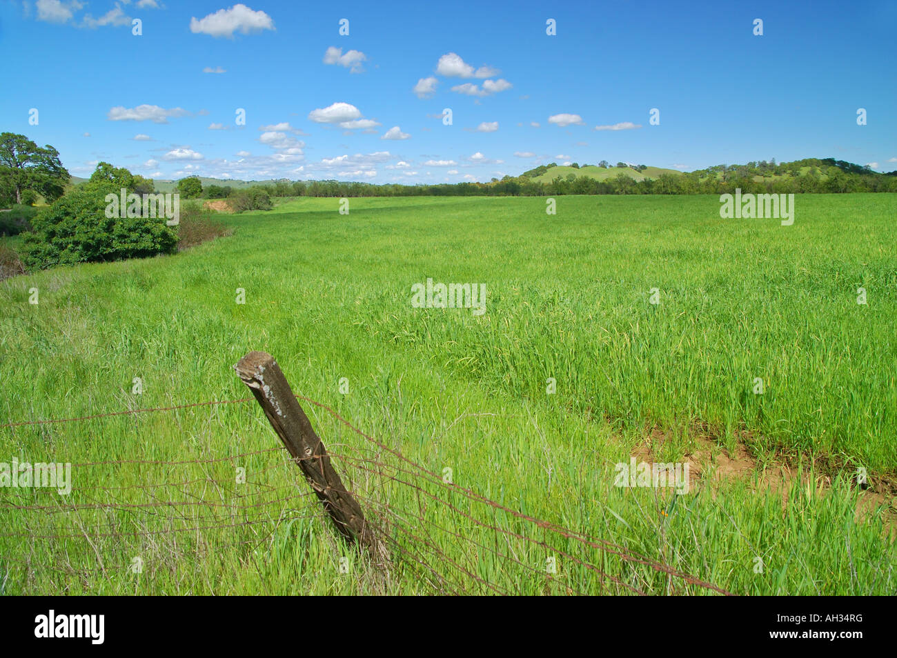 California's central valley hi-res stock photography and images - Alamy