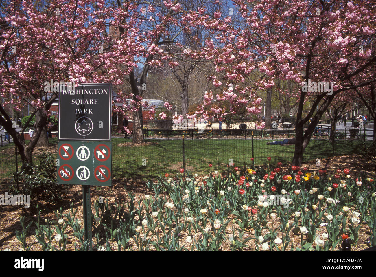 Spring time in Washington Square Gardens New York City Stock Photo - Alamy