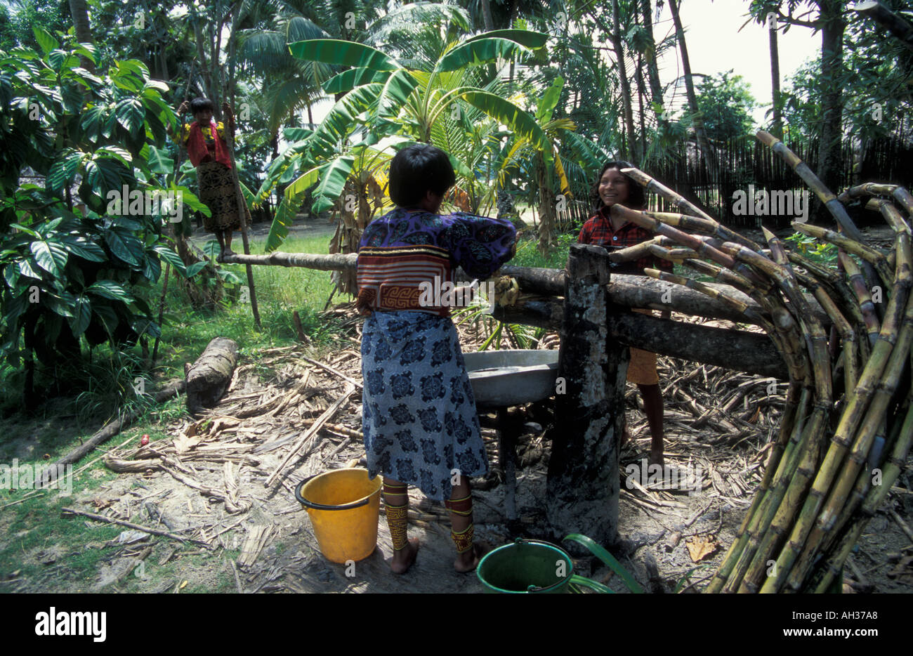 Kuna women making a chicha drink from raw sugar cane Stock Photo - Alamy