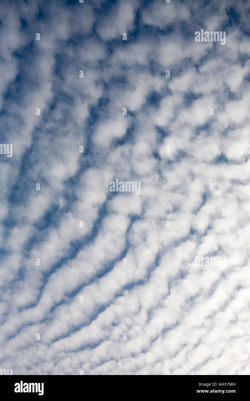 Altocumulus billows clouds produce what is known as a mackerel sky ...