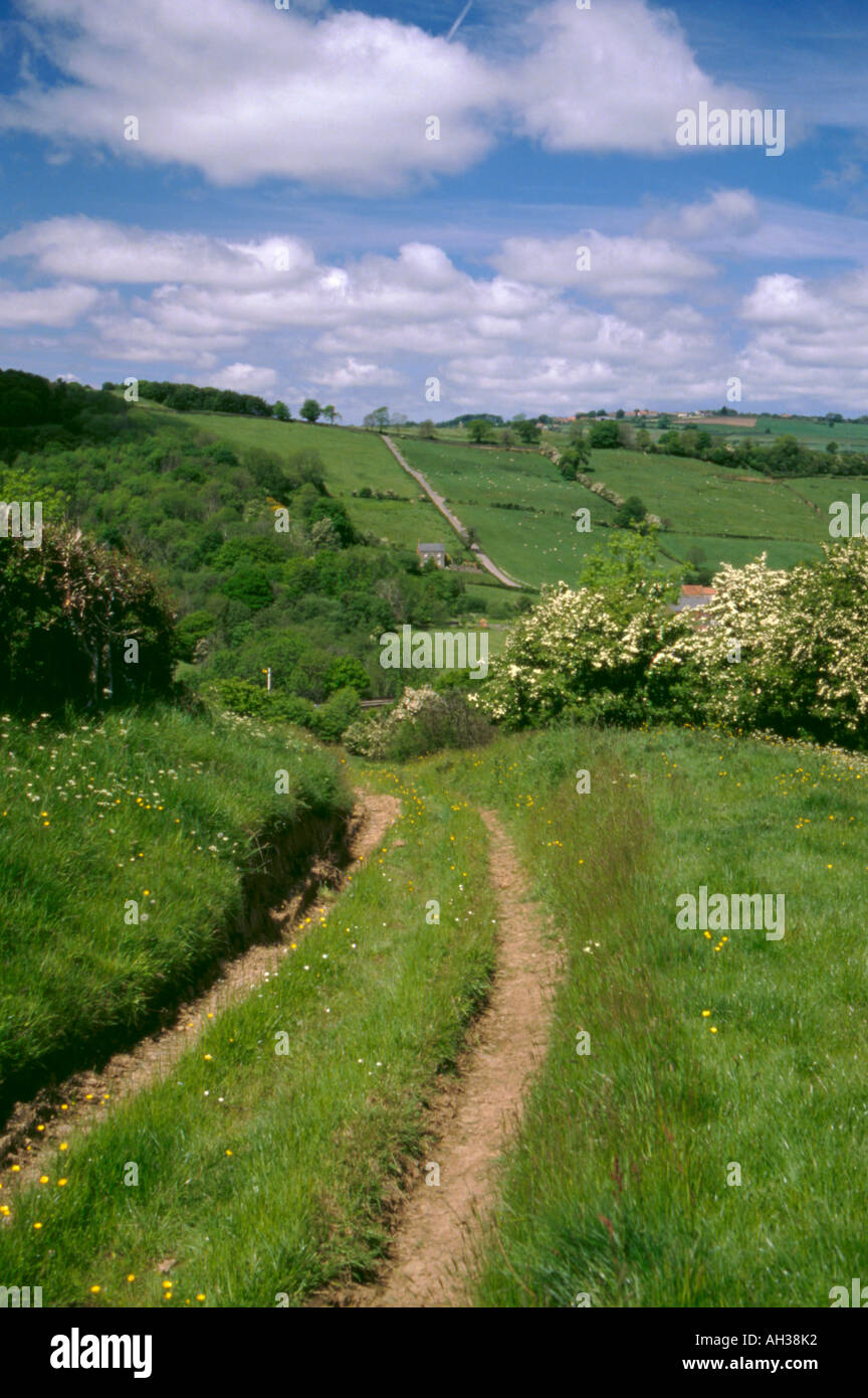 Middle moors hi-res stock photography and images - Alamy