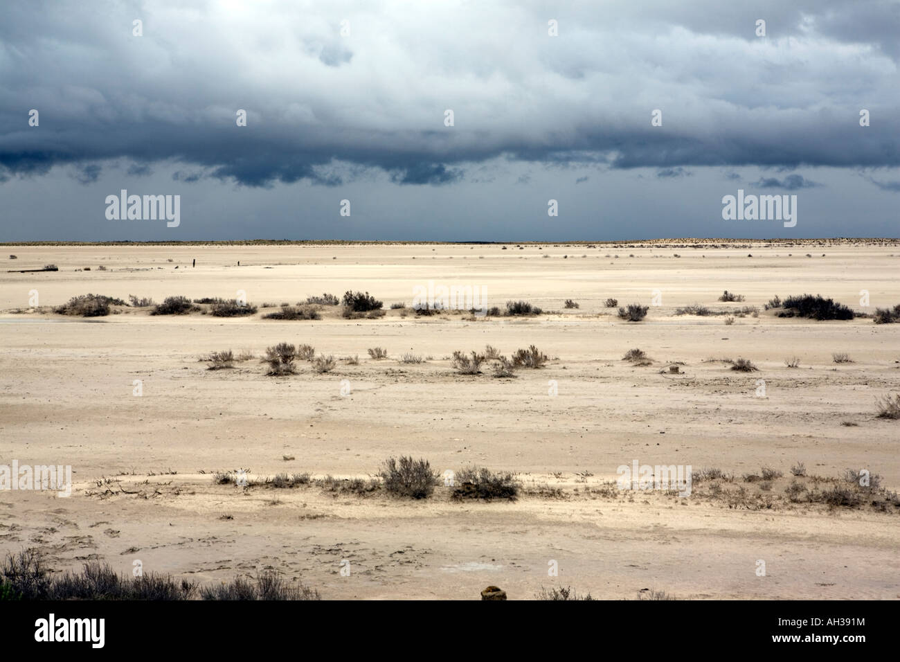 Salt Flats of West Texas along US 62/180 just west of Guadalupe ...
