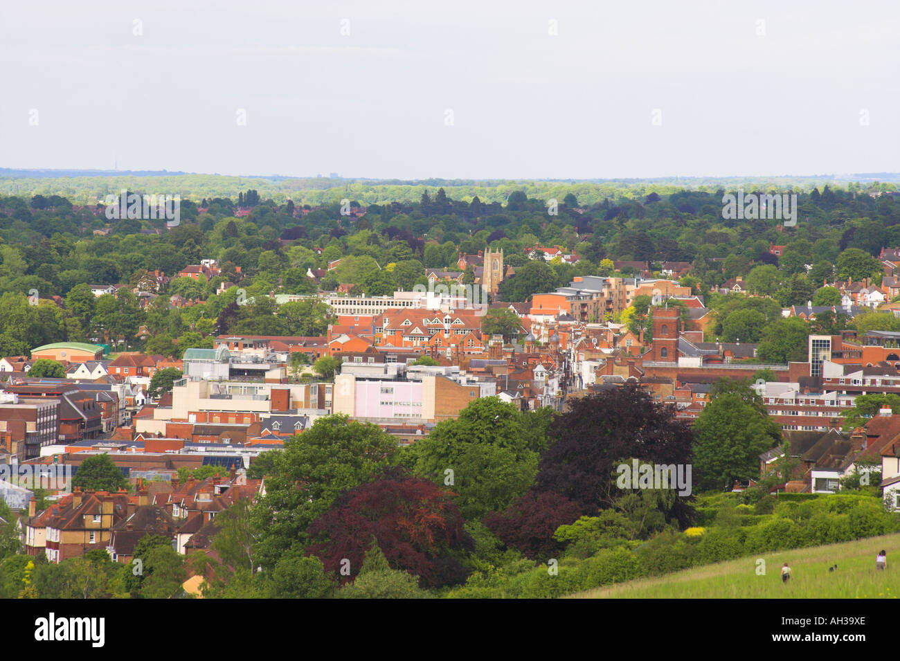 Guildford town centre from the North Downs Stock Photo - Alamy