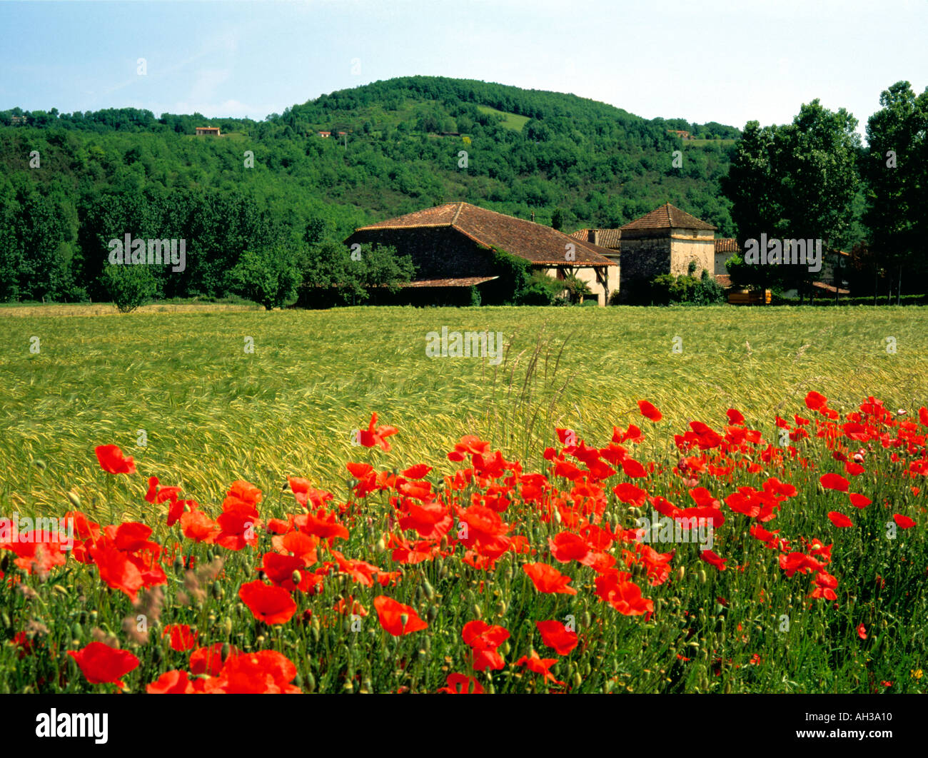 Farmhouse with poppies Lot France Stock Photo - Alamy