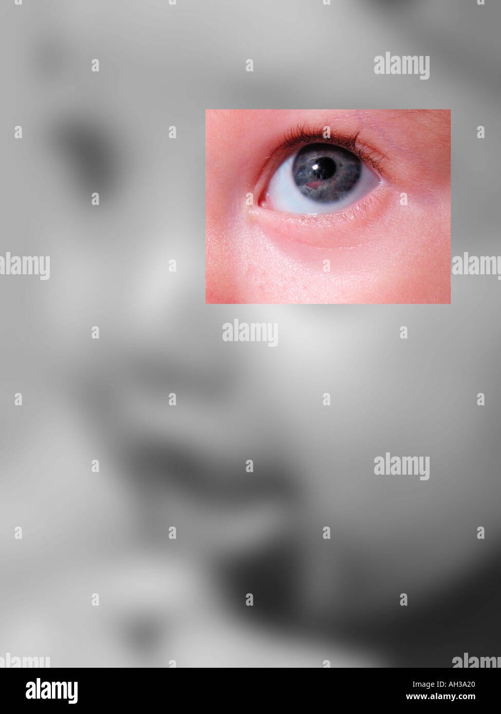 digital baby eye Stock Photo - Alamy