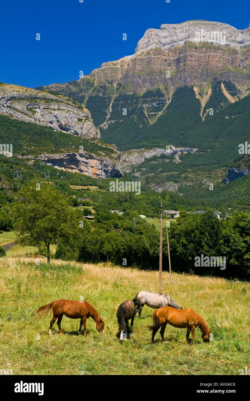Pyrenees spain horse riding hi-res stock photography and images - Alamy