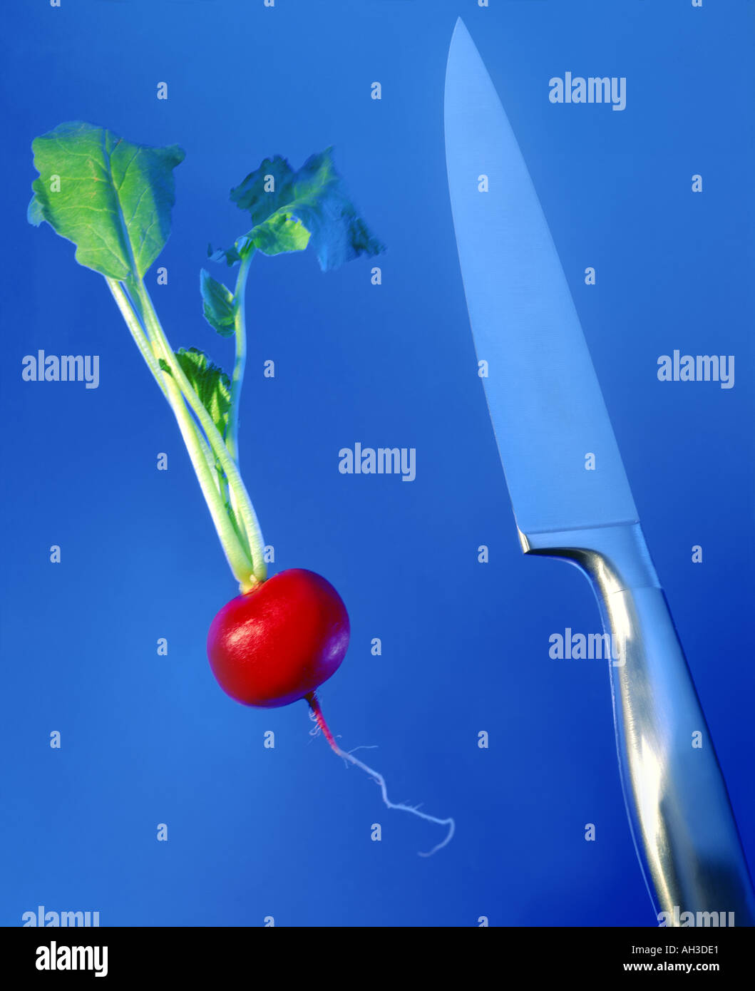 Rettich design hi-res stock photography and images - Alamy