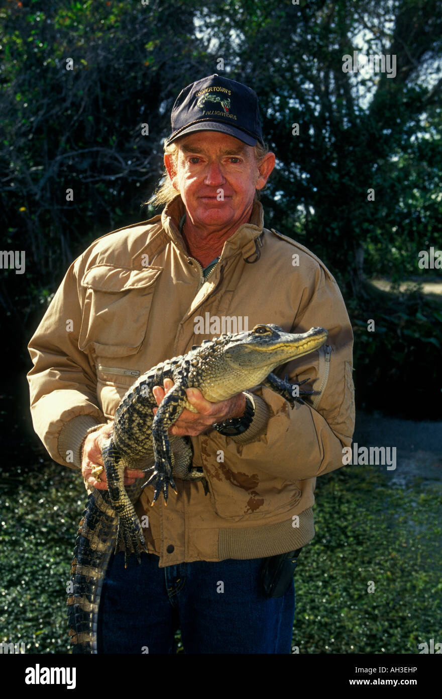 alligator, alligator farm, A mississippiensis, holding alligator ...