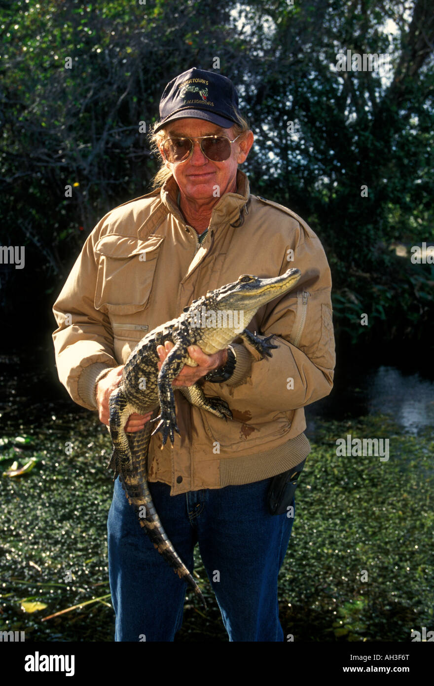 alligator, alligator farm, A mississippiensis, holding alligator ...