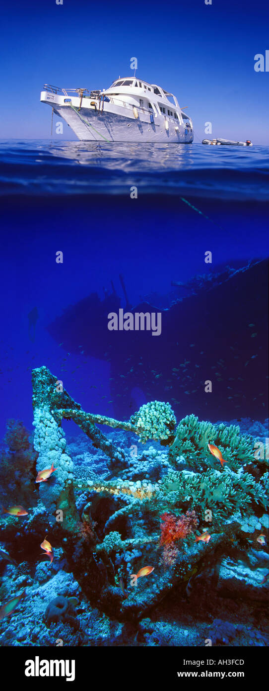 A Divers Dream Stock Photo - Alamy