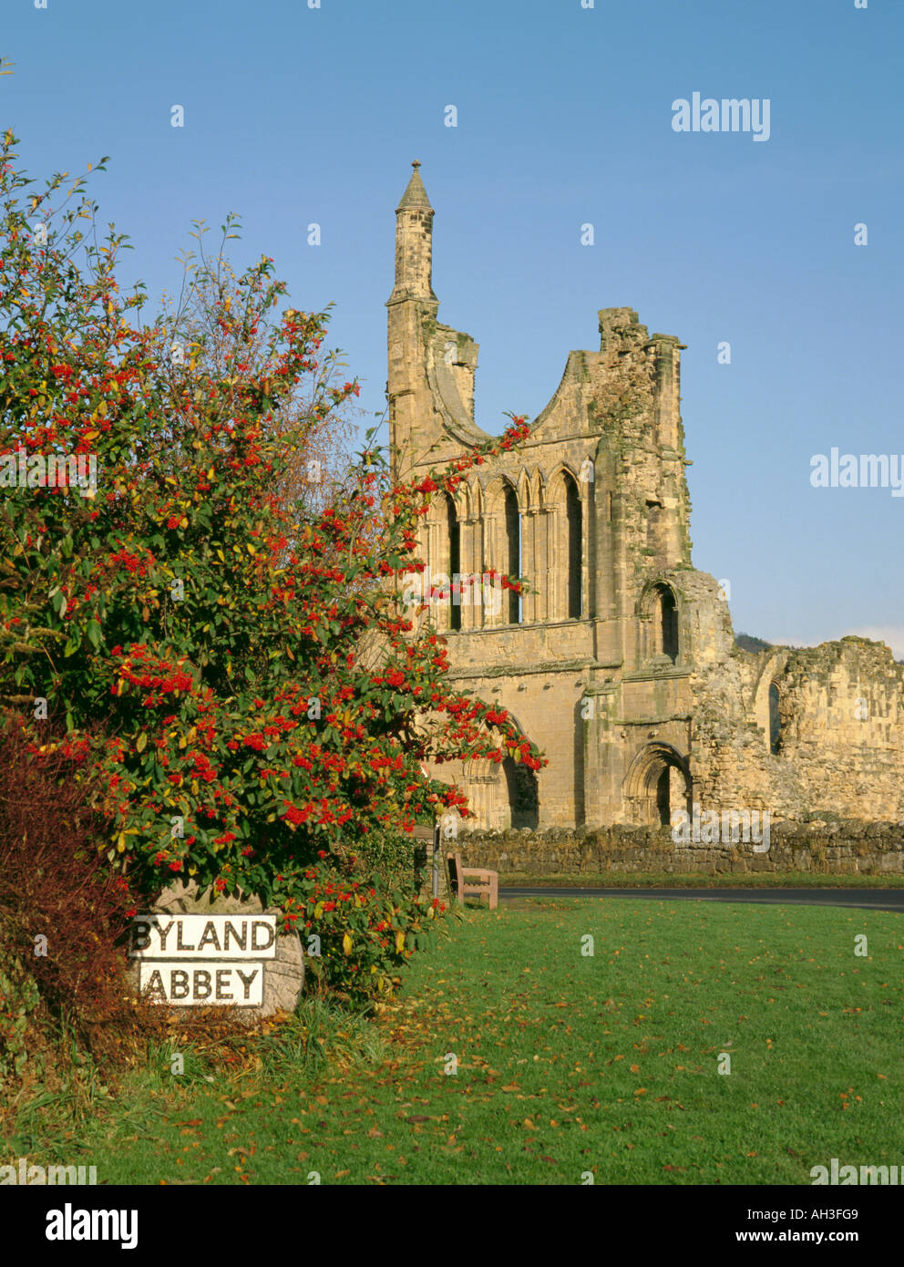 Ruins of Byland Abbey, near the village of Coxwold, North York Moors ...