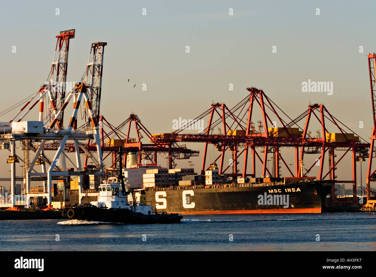Shipping Industry / Container Ships berthed in the Port of Melbourne ...