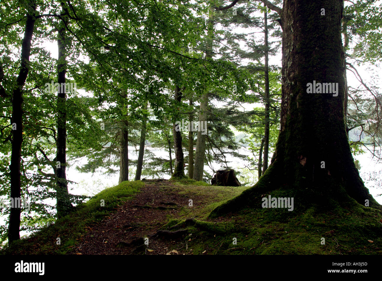 Lake vrynwy hi-res stock photography and images - Alamy