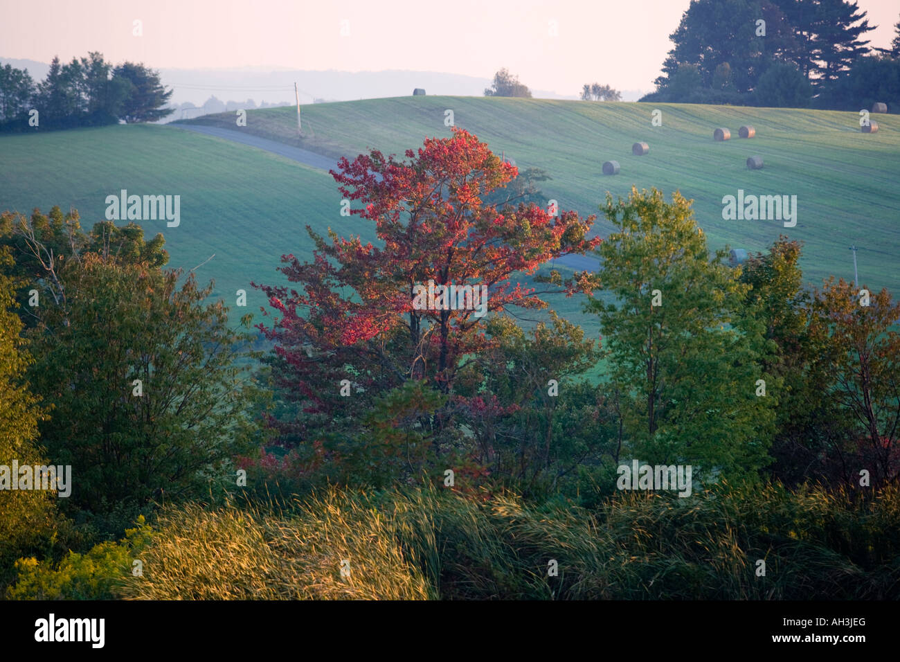 Pennsylvania sunset fall hi-res stock photography and images - Alamy