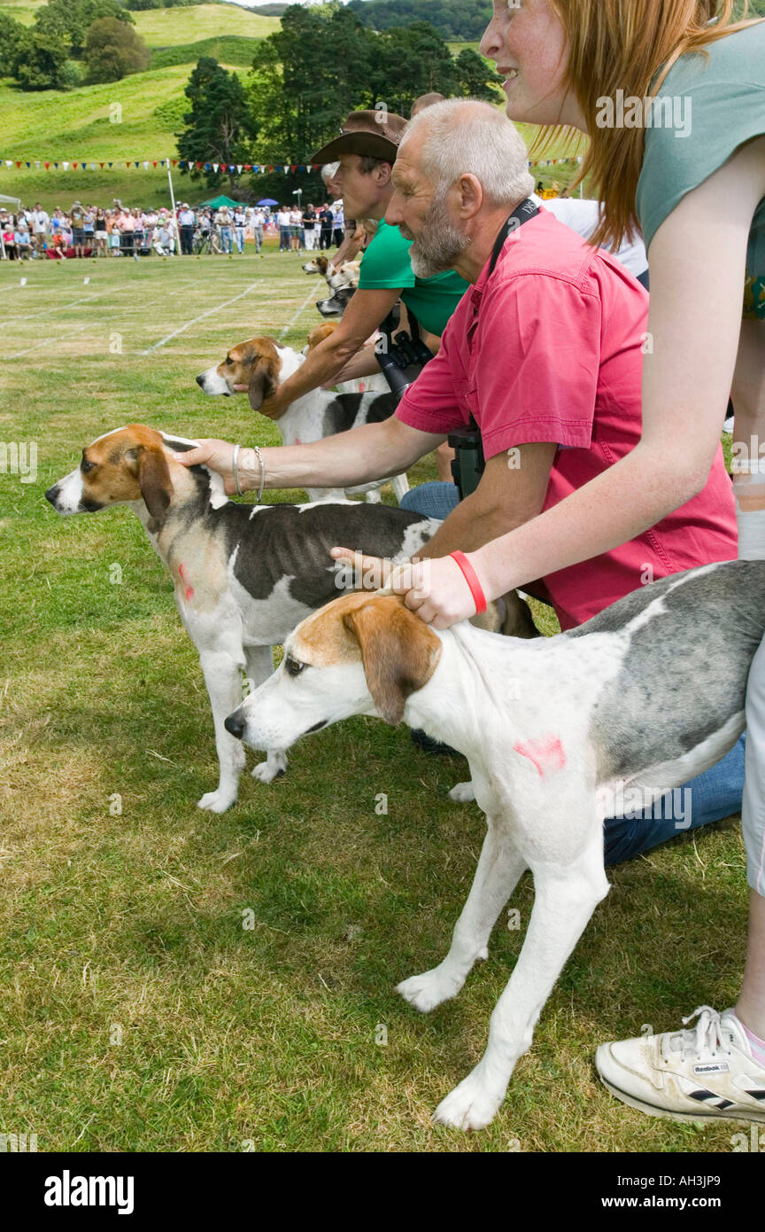 Hound Trailing High Resolution Stock Photography and Images - Alamy