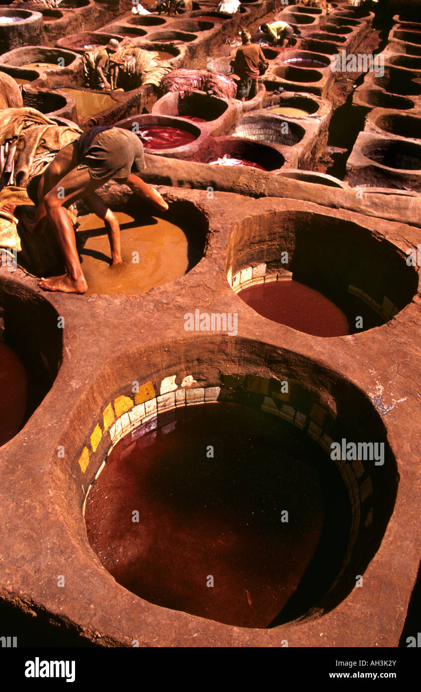 A worker in the traditional tanneries of Fes el Bali, Morocco, engaged ...