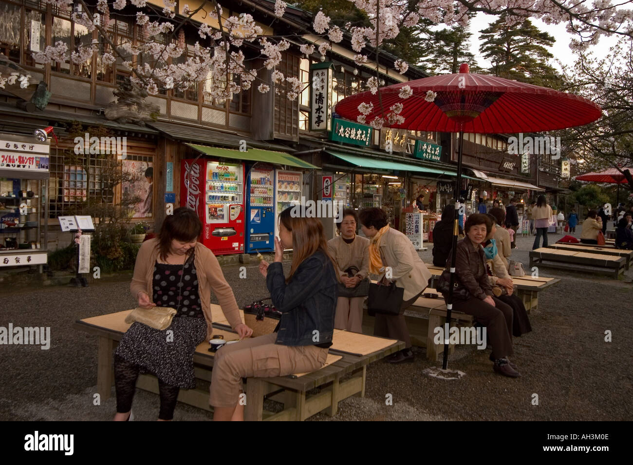 cherry blossom viewing hanami Kenrokuen Garden Kanazawa city Ishigawa ...