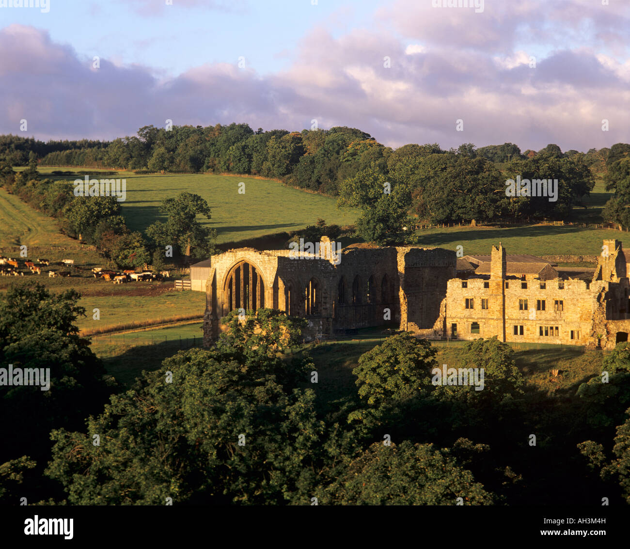 Egglestone Abbey in Teesdale, County Durham Stock Photo - Alamy