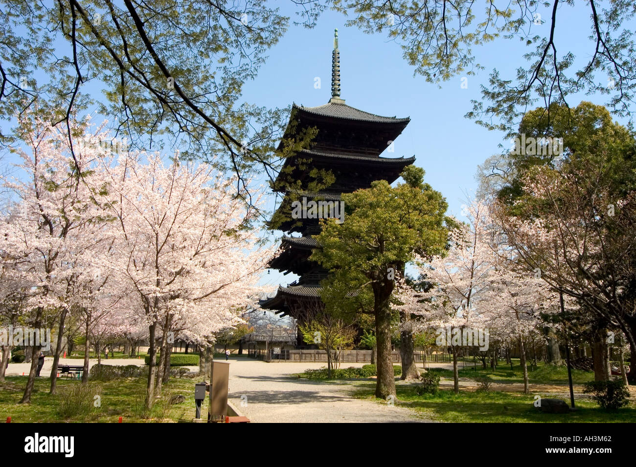 Toji pagoda spring cherry blossom Kyoto city Honshu island Japan Stock ...