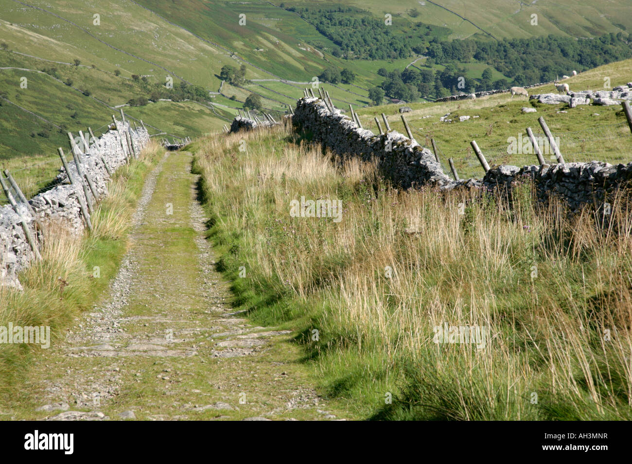 Track leading towards Litton, Littondale, Yorkshire Dales, England ...