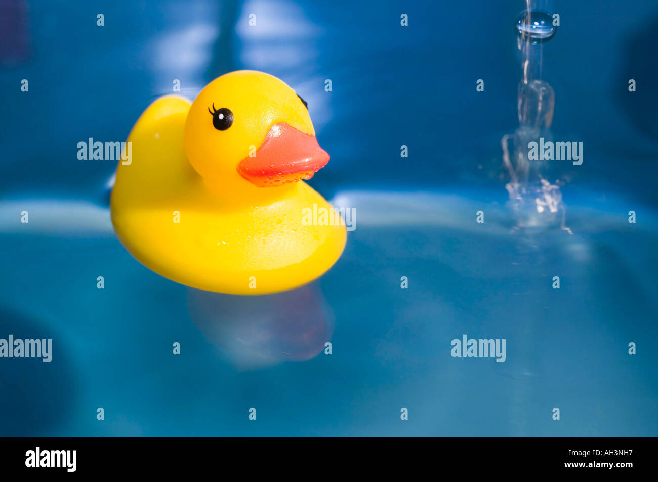 Rubber duck bath hi-res stock photography and images - Alamy