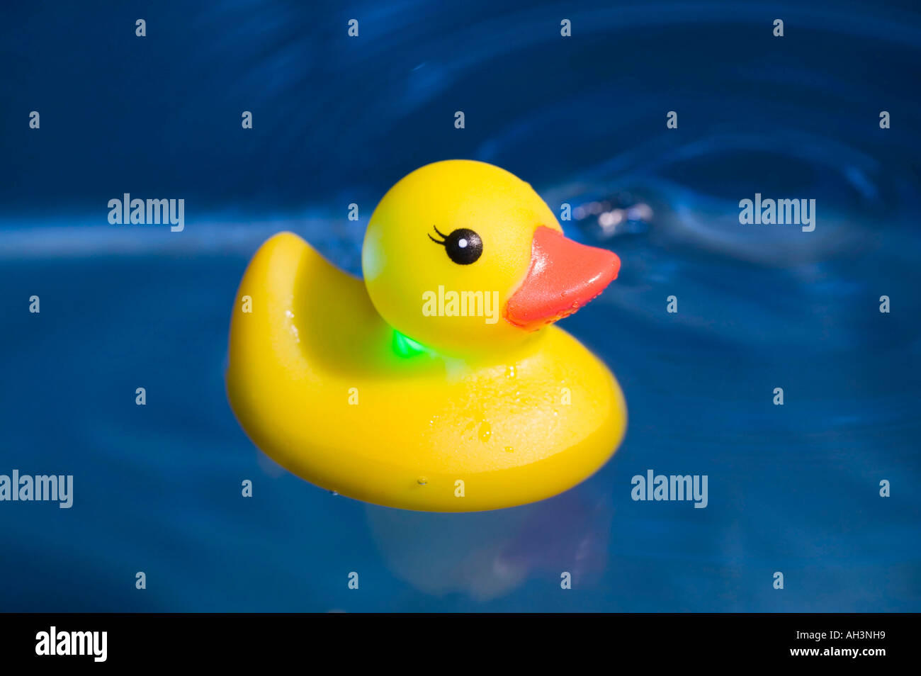 a toy rubber duck in a bath Stock Photo - Alamy