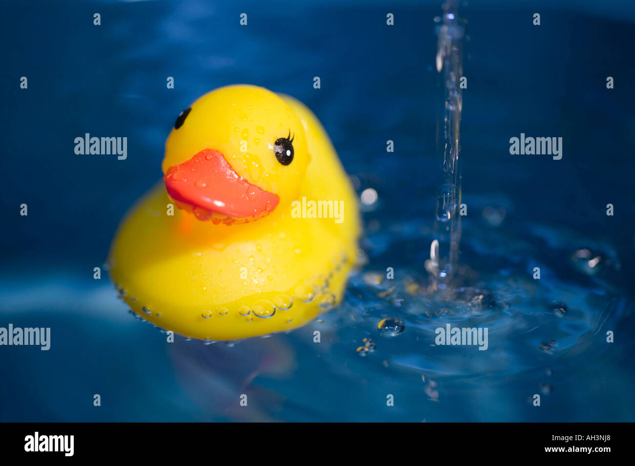 a toy rubber duck and falling water Stock Photo - Alamy