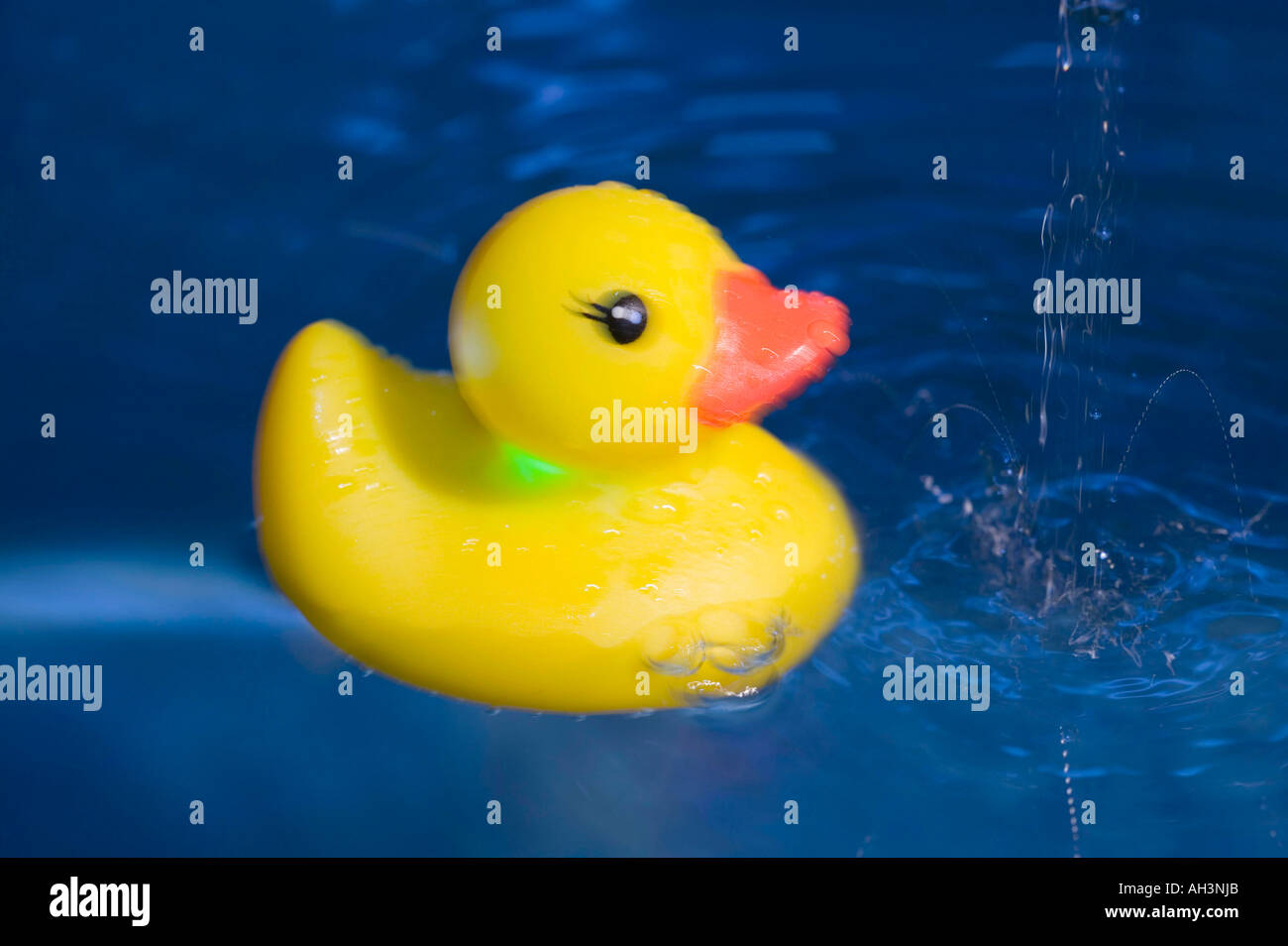 a toy rubber duck and falling water Stock Photo - Alamy