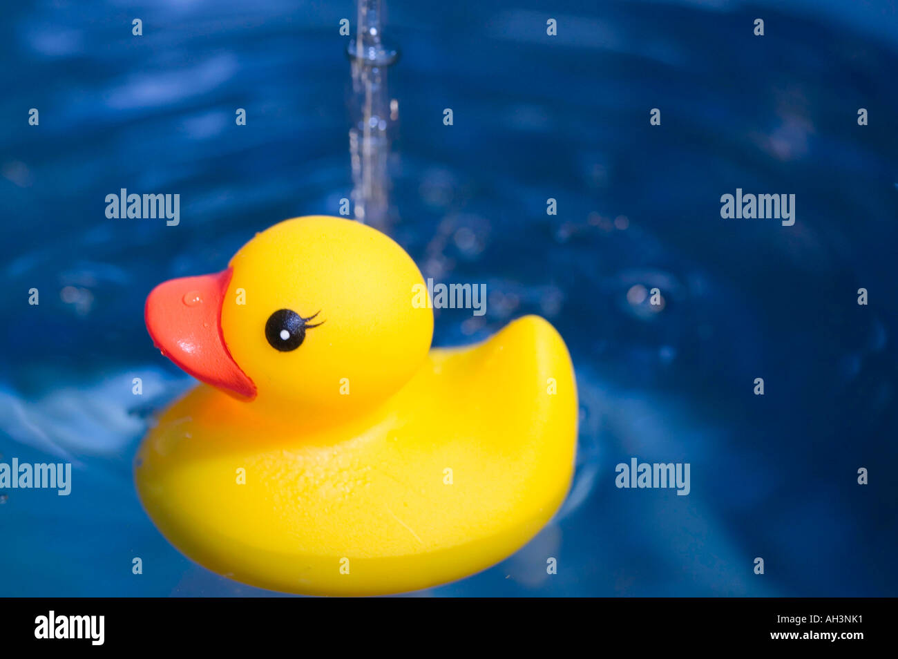 a toy rubber duck and falling water Stock Photo - Alamy