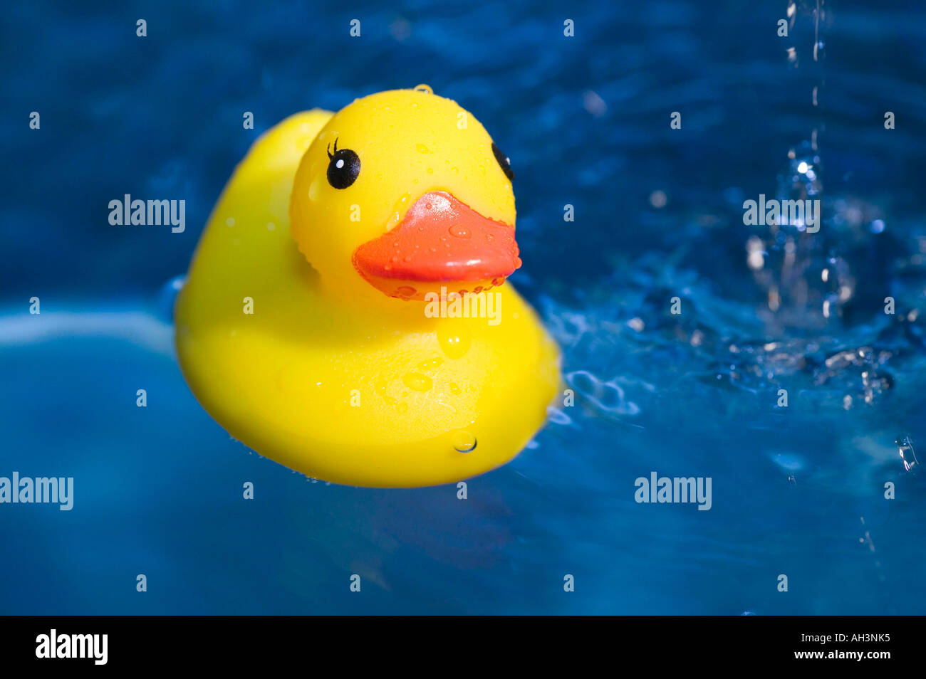 a toy rubber duck and falling water Stock Photo - Alamy