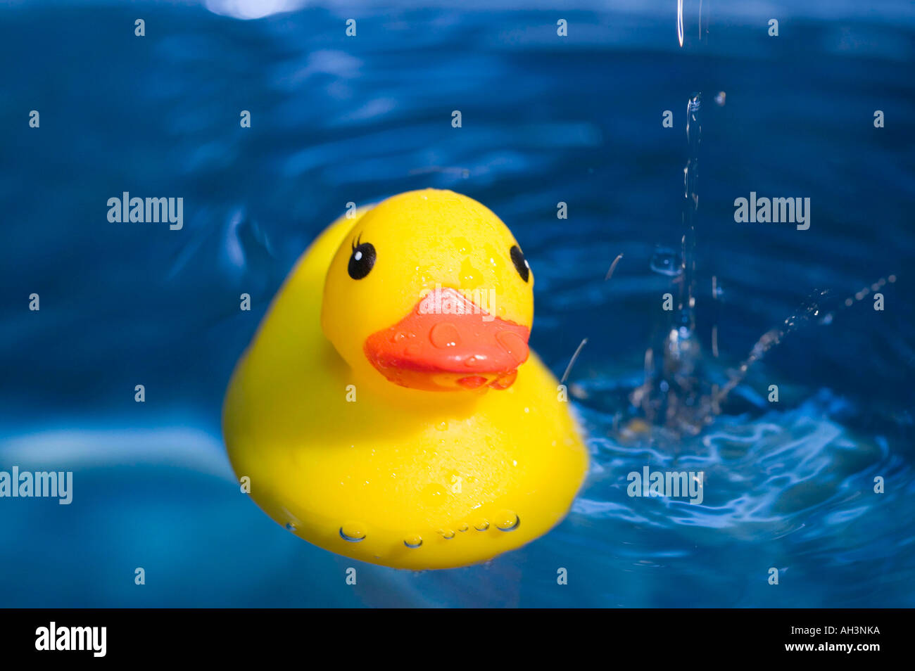 a toy rubber duck and falling water Stock Photo - Alamy
