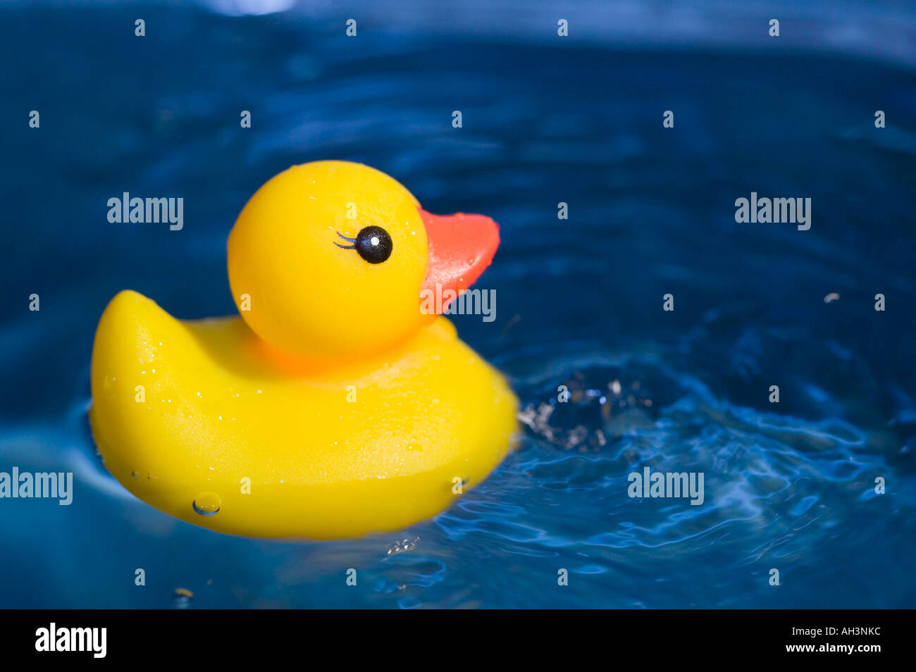 a toy rubber duck and falling water Stock Photo - Alamy