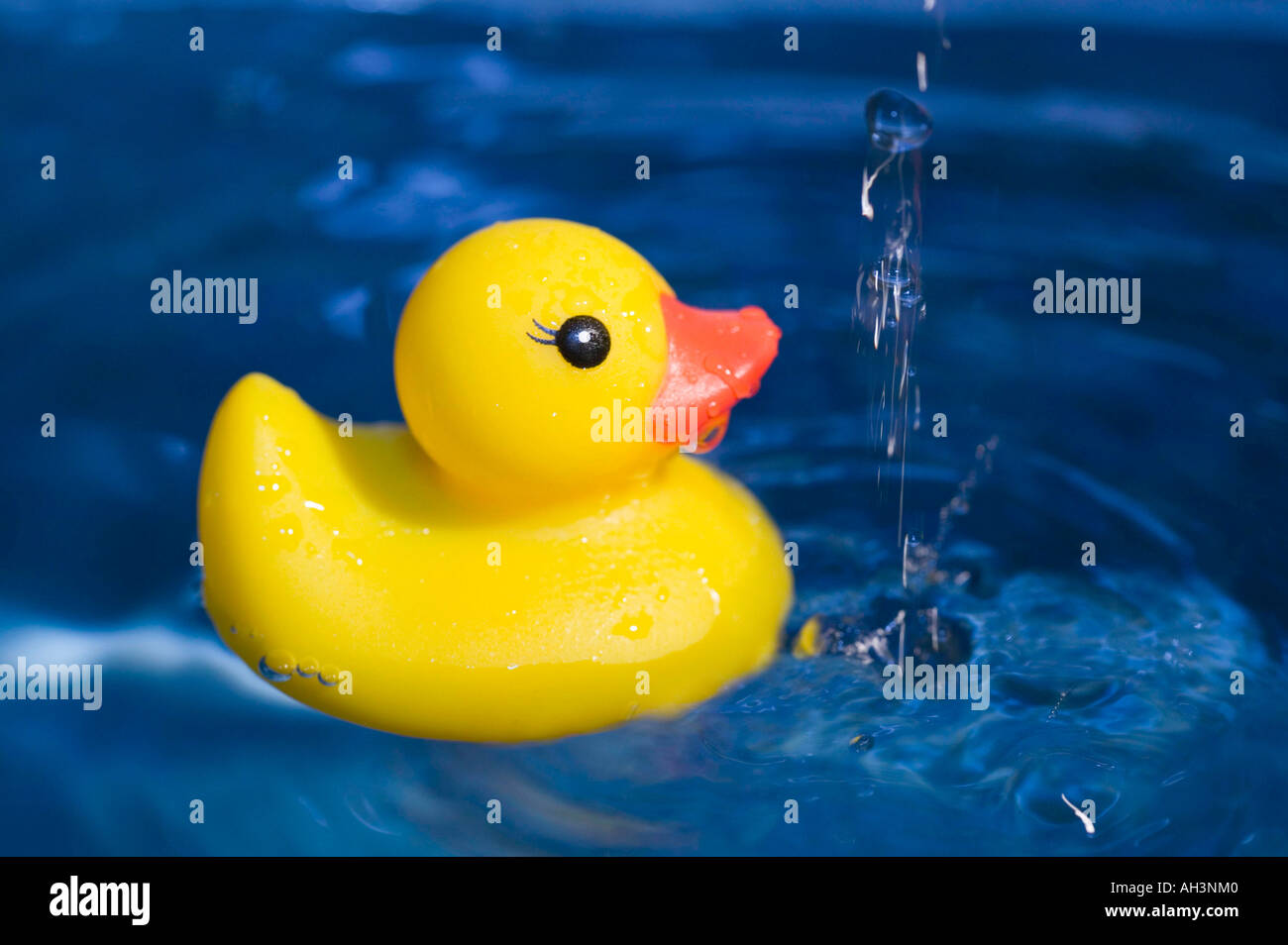 a toy rubber duck and falling water Stock Photo - Alamy