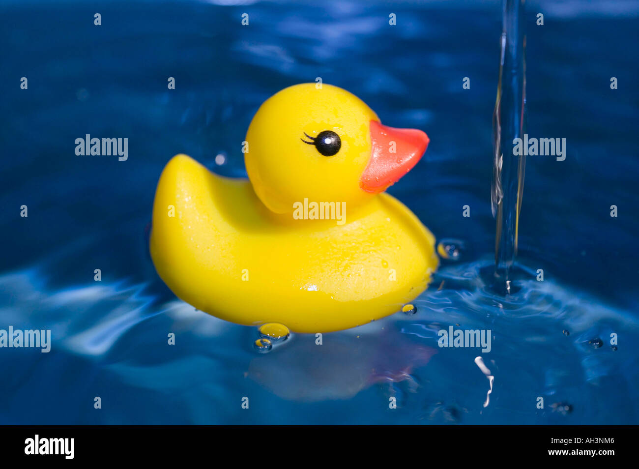 a toy rubber duck and falling water Stock Photo - Alamy