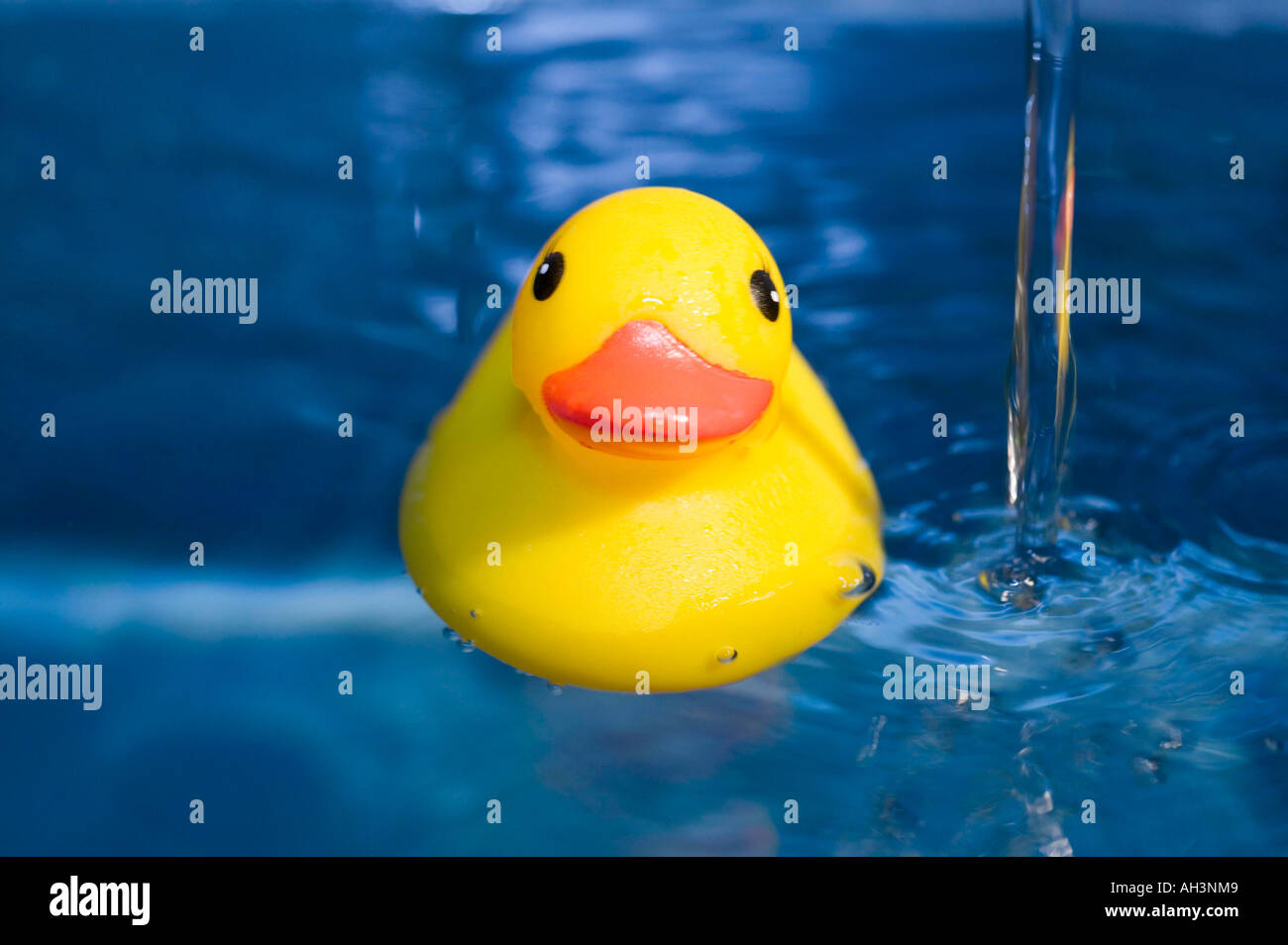 a toy rubber duck and falling water Stock Photo - Alamy